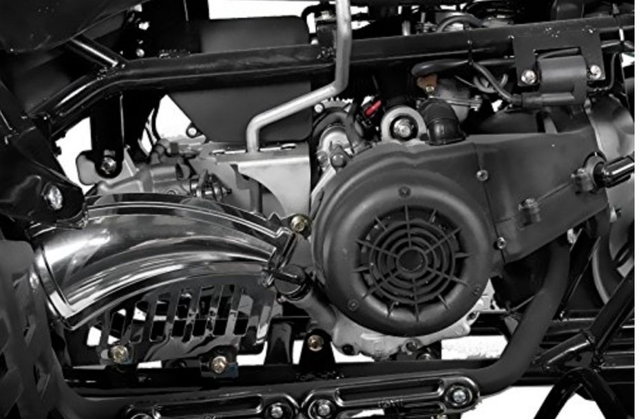 Warrior 150cc automatique 10" vert Quad adulte | LesTendances.fr